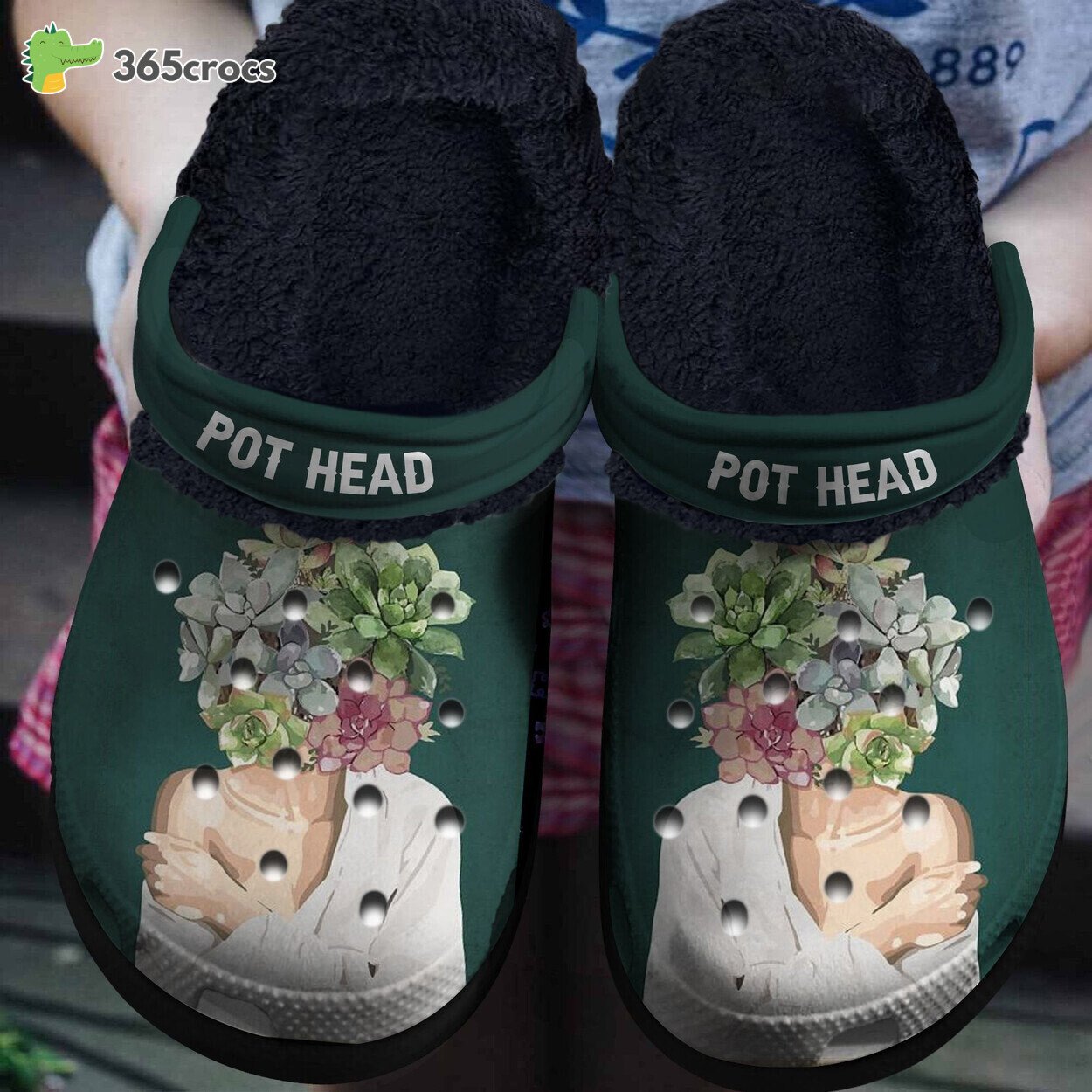 Succulent Crocs - 365crocs